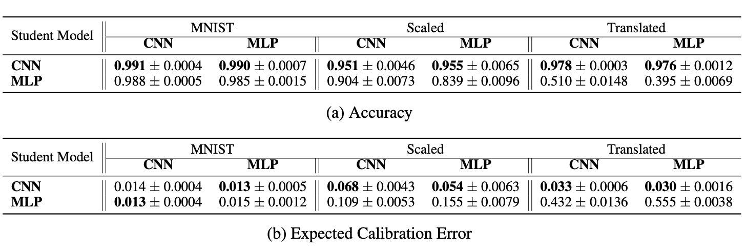 Distilling Inductive Biases | Samira Abnar
